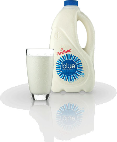 마니아 컬럼(리빙) - 여성포털이지데이